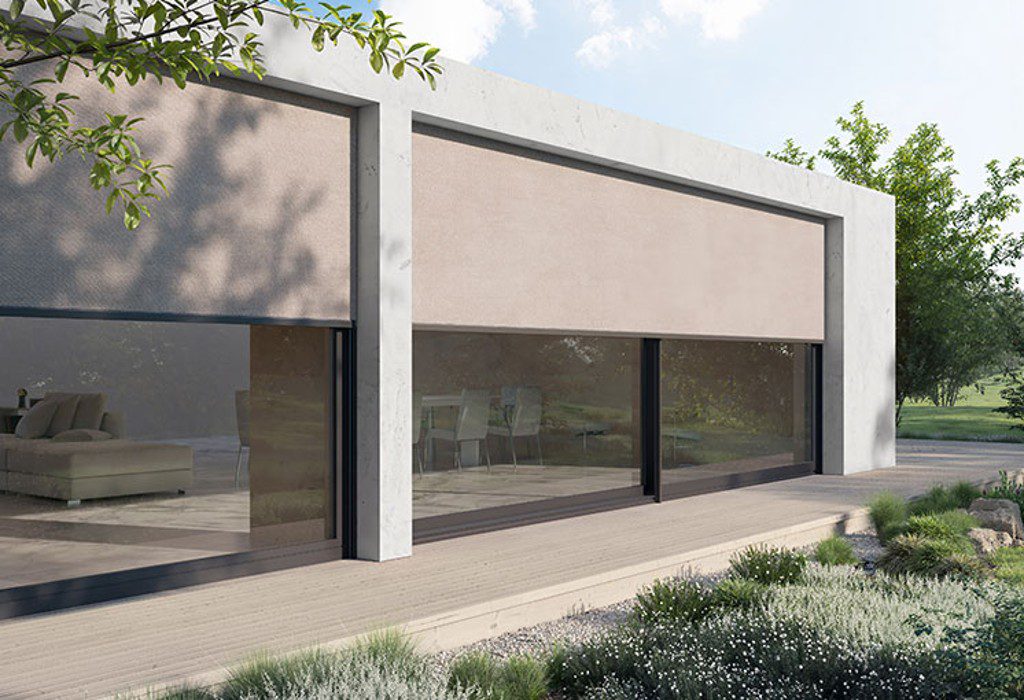 New Arrival - Clear Shield